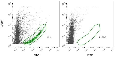 Conjugation Kit Easy Labelling Ab314686 Abcam