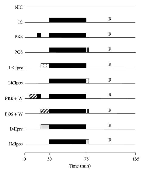 Scheme Of The Experimental Protocols Nic Nonischemic Control Ic