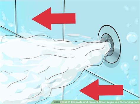 How To Eliminate And Prevent Green Algae In A Swimming Pool Artofit
