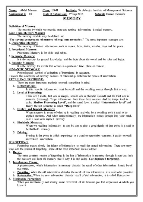 Chapter 4 Memory Docx Brain And Nervous System Disorders Diseases And Conditions