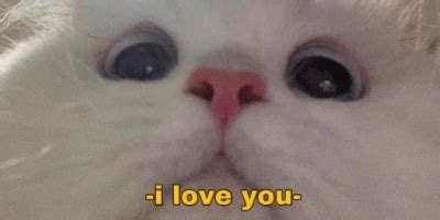 Kembaran Binal Part Trakteer Id