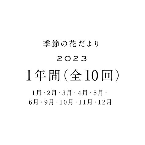 季節の花だより BOTANICAL ARRANGEMENTS TSUBAKI
