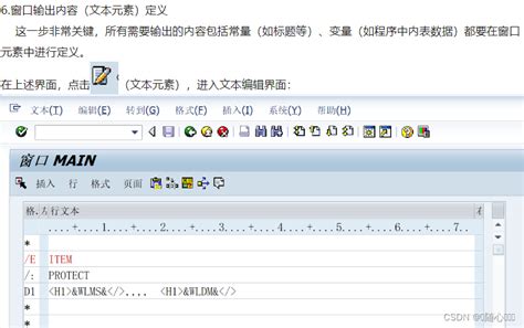Abap开发：sapscript表单设计及打印简介sap Script Csdn博客