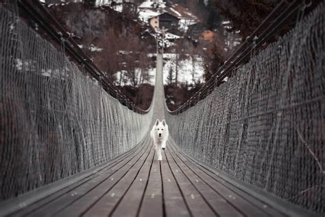 Comment Utiliser Les Lignes Directrices Dans Votre Photographie