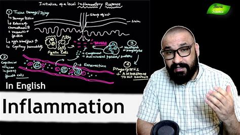 Inflammation Immune System Csir Ugc Net Exam Basic Science Series