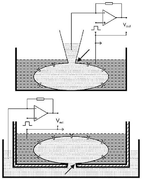 Patch Clamp Arrangements Upper Panel Classical Whole Cell Download Scientific Diagram