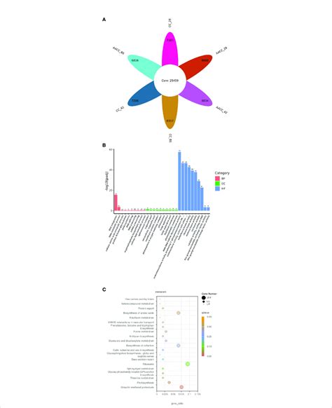The Detected Gene Expressions Illustrated In Petal Diagram And New