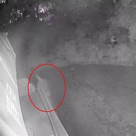 在小区“潜伏”7小时，深夜，他悄悄闯入被害人家中孟某警方嫌疑人
