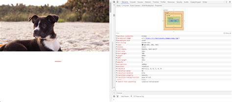 Html Background Image And Size Of The Screen How To Do It Correctly
