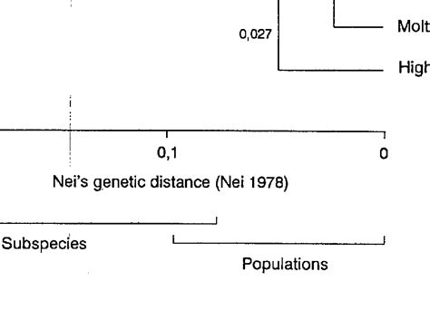 2 Phenogram Of Upgma Of Neis Unbiased Genetic Download Scientific