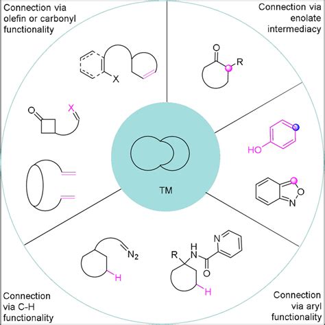 Synthetic Strategies Of Accessing Bridged Polycyclic Skeletons By Download Scientific Diagram