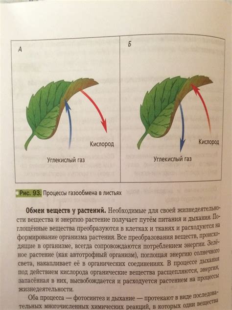 5 внимательно рассмотрите рисунок 93 определите какой процесс
