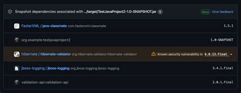 Extend Your Dependency Information In The Github Dependency Graph With