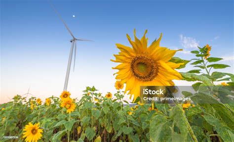 산에서 청정 에너지를 위한 고전압 전력선이 있는 자연 풍력 터빈 및 태양전지 패널 해바라기에 대한 스톡 사진 및 기타 이미지