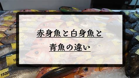 赤身魚と白身魚と青魚の違いや定義は？ フリーランス女子のライフブログ