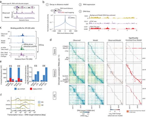Rna Expression And Genomic Distance Determine The Rna Dna Interactome A