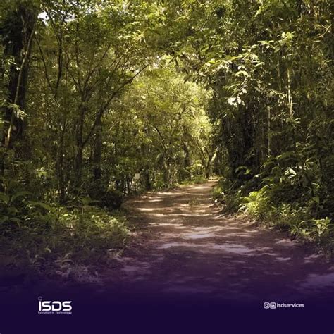 Integrated Software Data Services On Linkedin Startuptech Softwareselection Techjourney