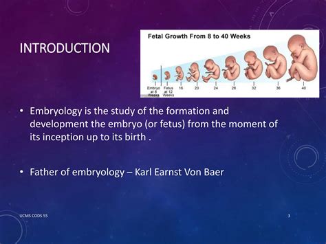 Embryology In Orthodontics And Dentofacial Orthopedics Ppt