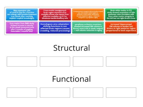 Types Of Neuroplasticity Group Sort