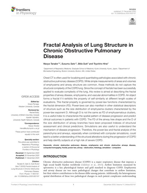Pdf Fractal Analysis Of Lung Structure In Chronic Obstructive