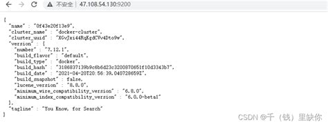 Elasticsearch配置及kibana可视化配置elasticsearch可视化工具 Csdn博客