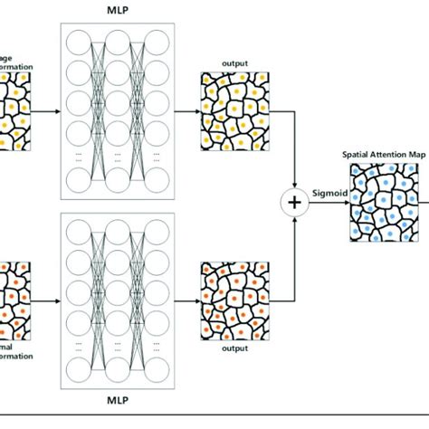 The Overview Of The Spatial Attention Module Download Scientific Diagram