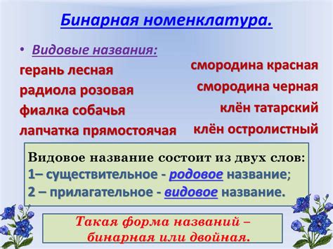 Систематика растений Online Presentation