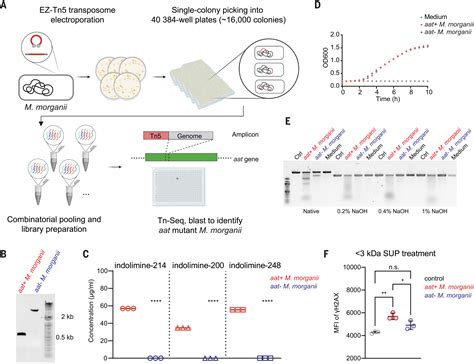 Commensal Microbiota From Patients With Inflammatory Bowel Disease Produce Genotoxic Metabolites