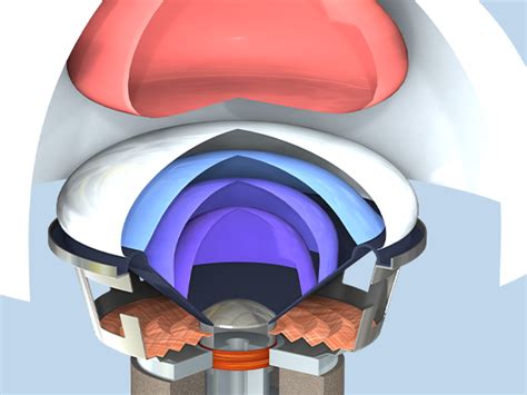Simulation Software For Analyzing Acoustics And Vibrations