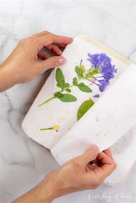 How To Dry Flowers Fast For Resin Best Flower Site