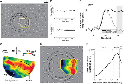 Mapping V1 Population Responses From Cortical Space To Visual Space