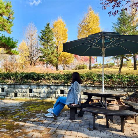 네이버 인플루언서 꿈마드의 홈