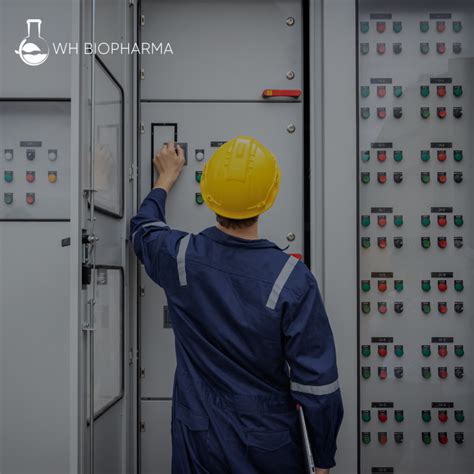 Best Practices For Efficient Energy Management In Manufacturing Wherez Hemp BioPharma