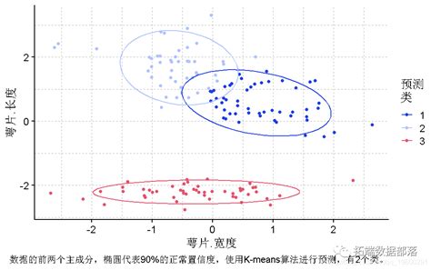 算法 r语言k means聚类、层次聚类、主成分（pca）降维及可视化分析鸢尾花iris数据 拓端数据 segmentfault 思否