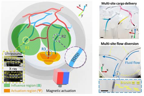 3d Robot Navigation Could Enable Multi Site Medical Procedures