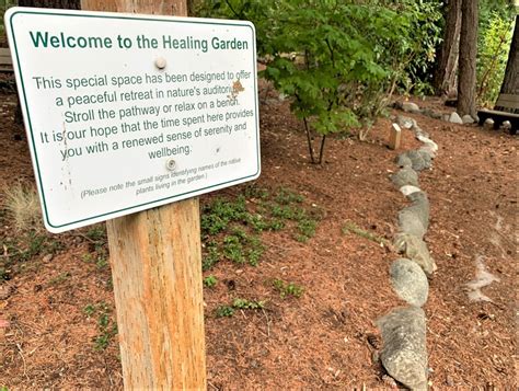 Safety Check Walk In For Mental Health At Nmrtc Bremerton United
