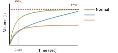 Case 3 Obstructive And Restrictive Lung Diseases Diagram Quizlet