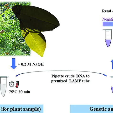 Specificity And Sensitivity Determination Of Our Developed Methods By