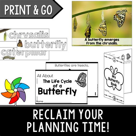 Butterfly Life Cycle Science Center Play To Learn Preschool