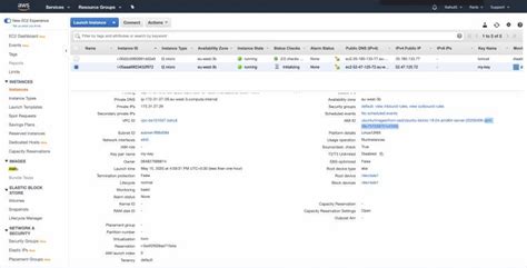 Wie Man Eine Amazon Aws Ec2 Instanz Mit Python Boto3 Erstellt Howtoforge