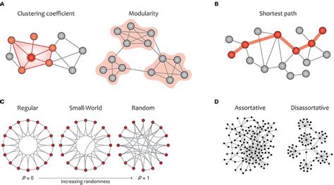 Dr Lighthall Contributes To New Systematic Review Of Graph Theory