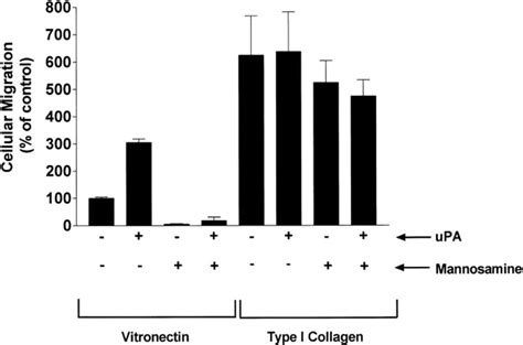 Upa Promoted Cellular Migration Is Matrix Proteinselective Transwell Download Scientific
