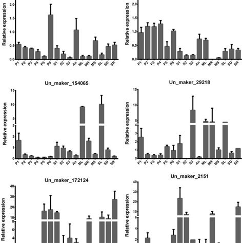 The Origin And Evolution Of 10 Identified Mads Box Homologous Genes In Download Scientific