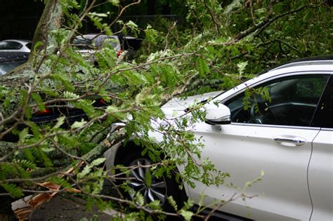 Understanding Auto Insurance Coverage For Windscreen Replacements