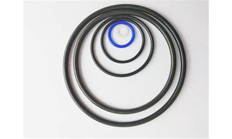 A Guide To Back Up Rings And O Rings For Beginners Dcw