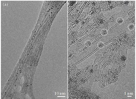Nanoparticles Go Platinum Ncem Instruments Provide Key Images
