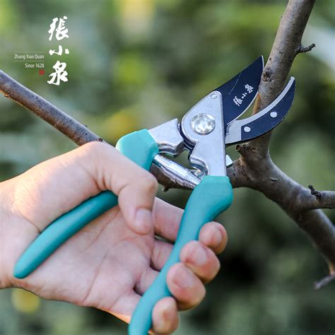 整枝修剪整枝果树修剪第10页大山谷图库