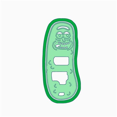 Stl File Pickle Rick Cookie Cutter Rick And Morty・3d Print Model To Download・cults