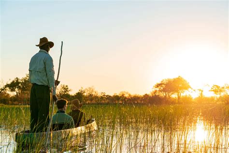 Download Okavango Delta Boat Tourism Wallpaper