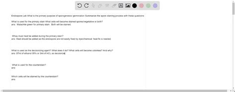 SOLVED Endospore Lab What Is The Primary Purpose Of Sporogenesis Germination Summarize The